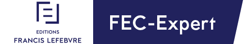 Fichier des écritures comptables (FEC Expert) : obligations fiscales ...